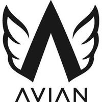 Avian